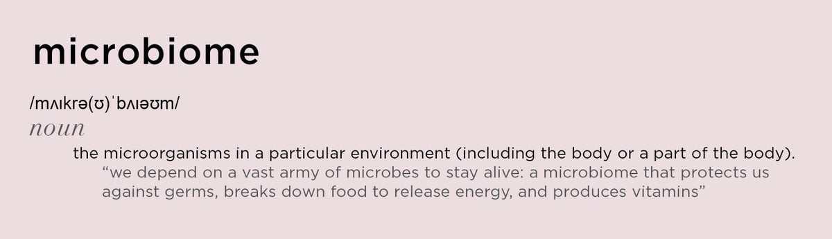How To Improve Your Microbiome (And Why!)